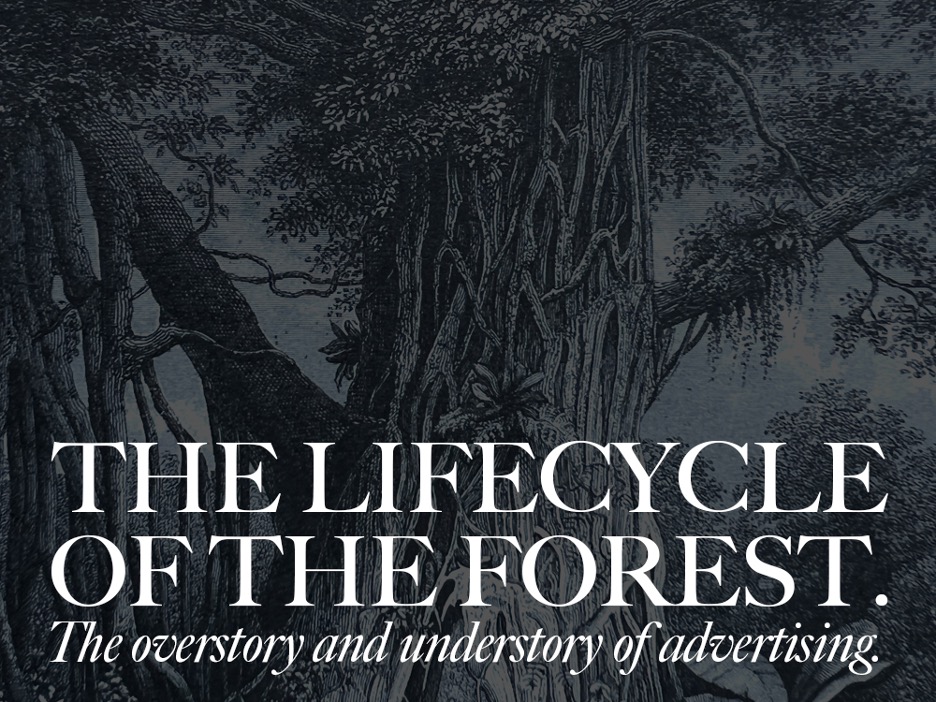 The lifecycle of the forest, and advertising. - Markham Yard